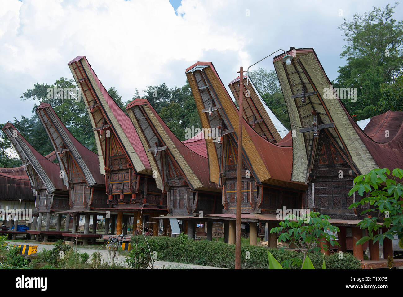 Tongkonan houses, traditional Torajan buildings, Tana Toraja is the ...