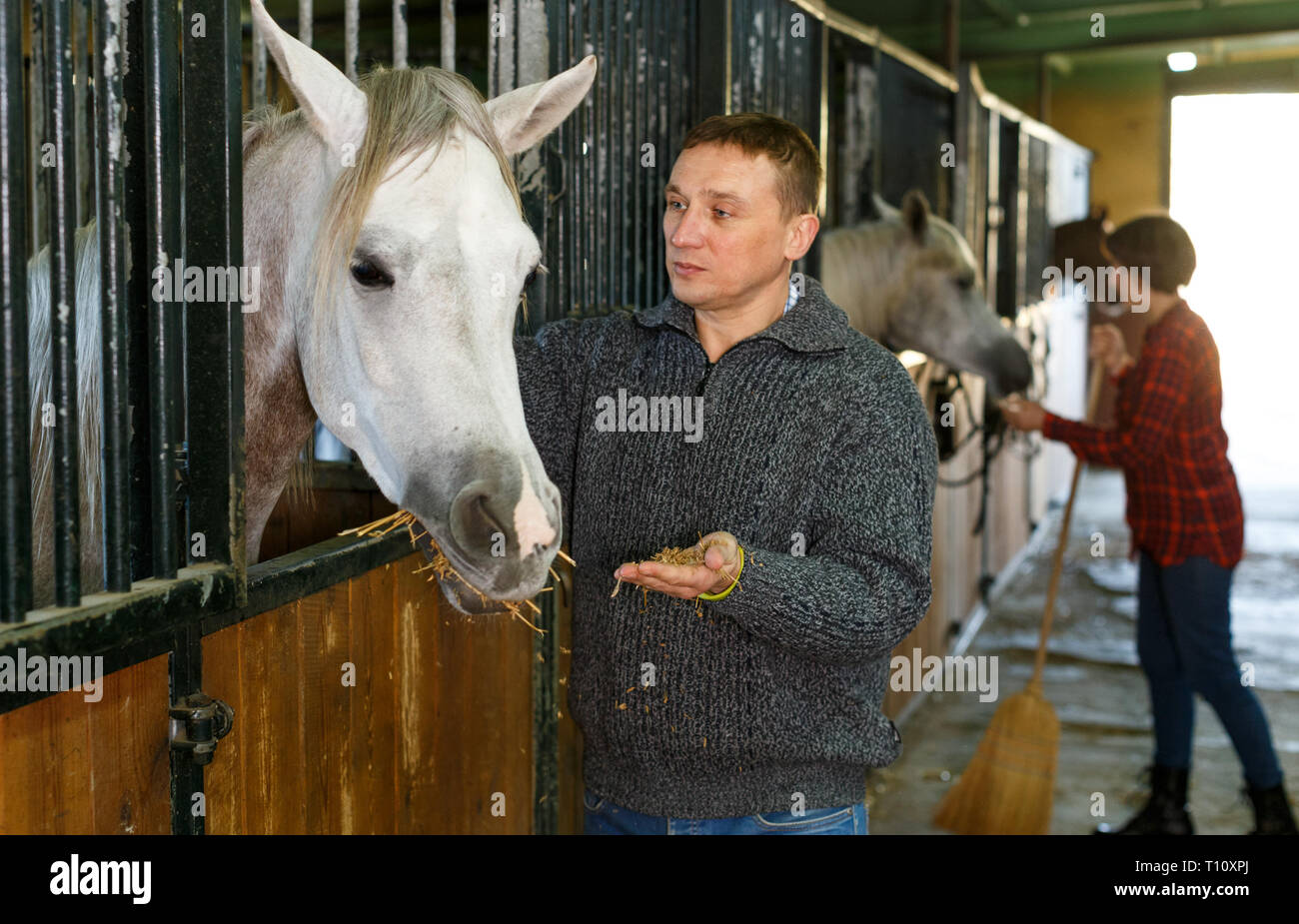 Portrait of man farm worker standing near white horse at stable Stock ...