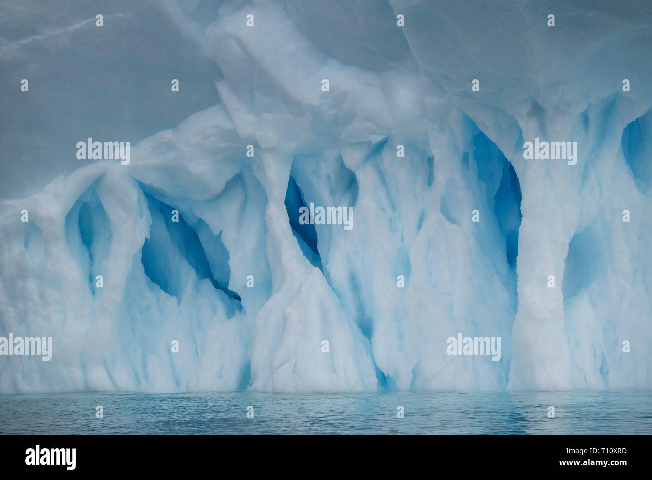 Antarctica, below the Antarctic Circle, Crystal Sound. Detail of large ...