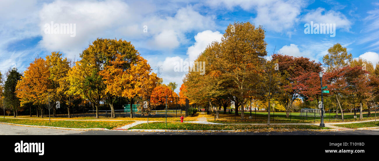 Fall leave at the park hi-res stock photography and images - Alamy