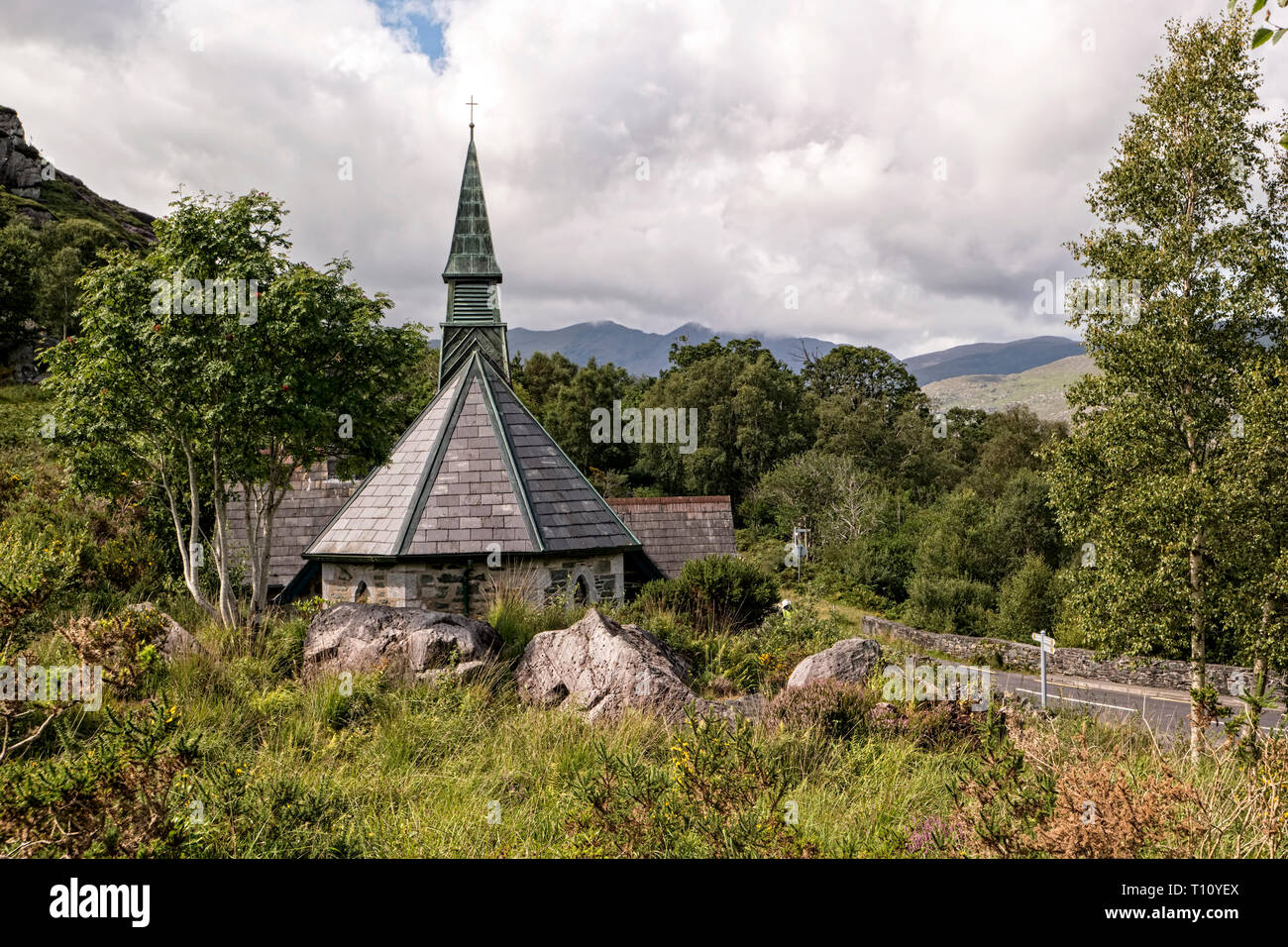Holy tree killarney hi-res stock photography and images - Alamy