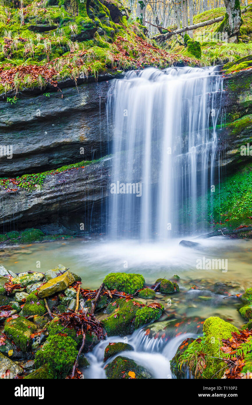 Waterfall in a beechwood Stock Photo - Alamy