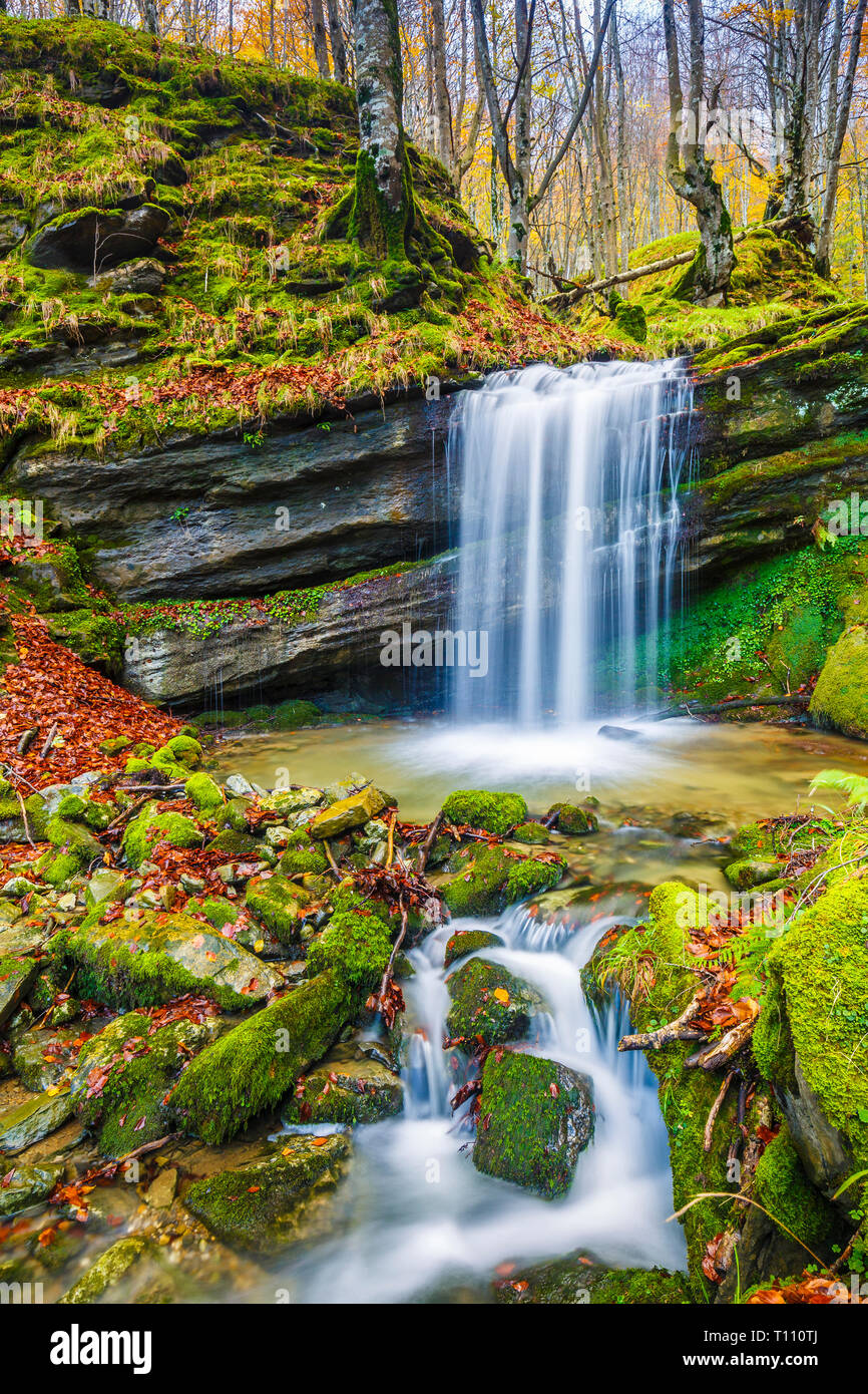 Waterfall in a beechwood Stock Photo - Alamy