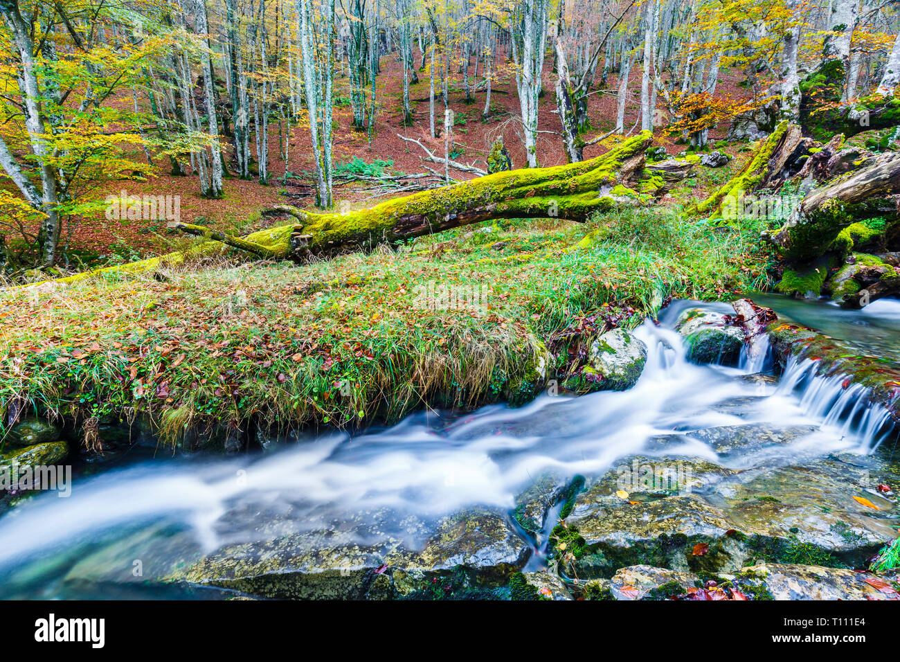 Rivulet hi-res stock photography and images - Alamy