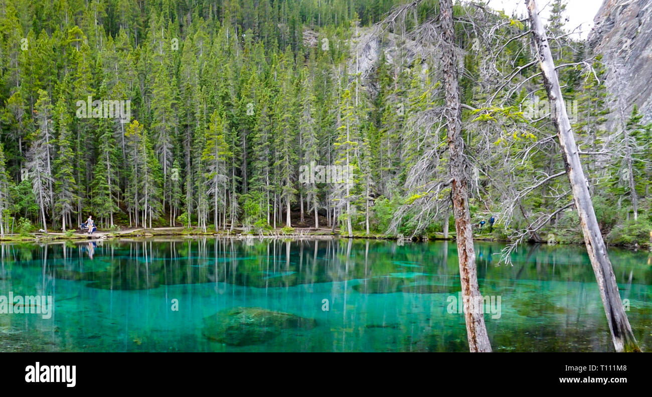 Grassi lakes banff hi-res stock photography and images - Alamy