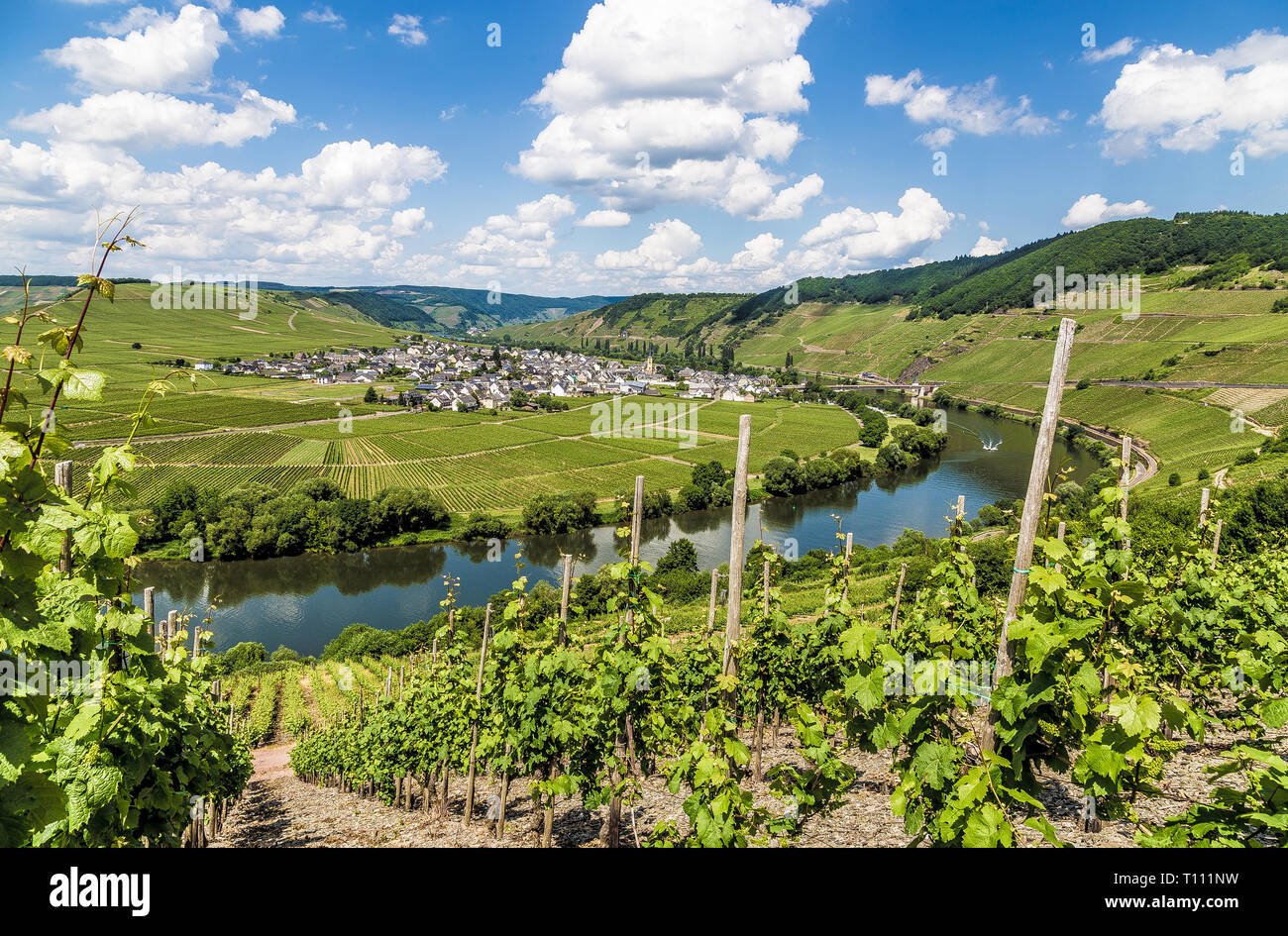 Village mosel trittenheim germany valley hi-res stock photography and ...