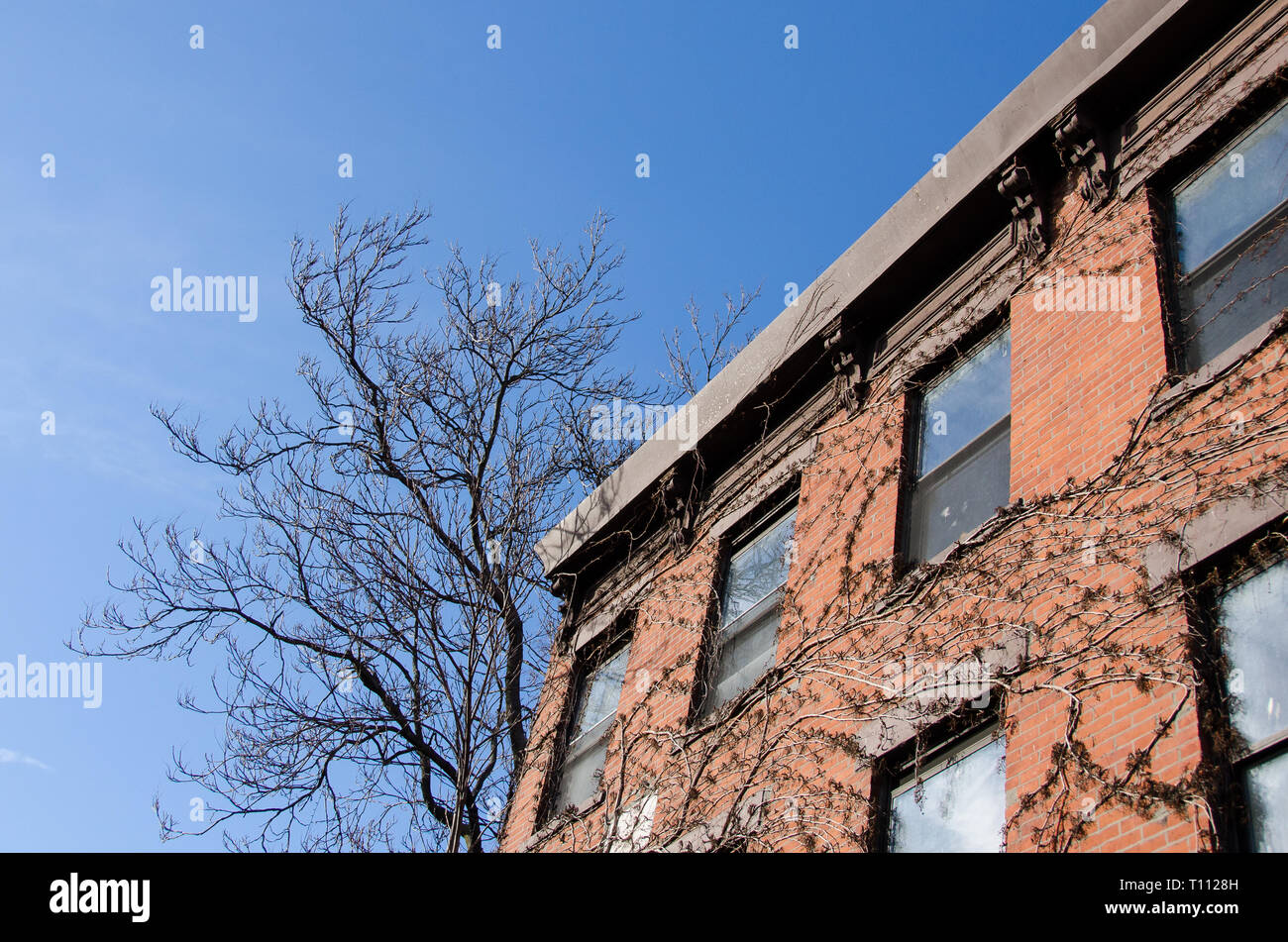 Apartment building apartments residence rental property hi-res stock ...
