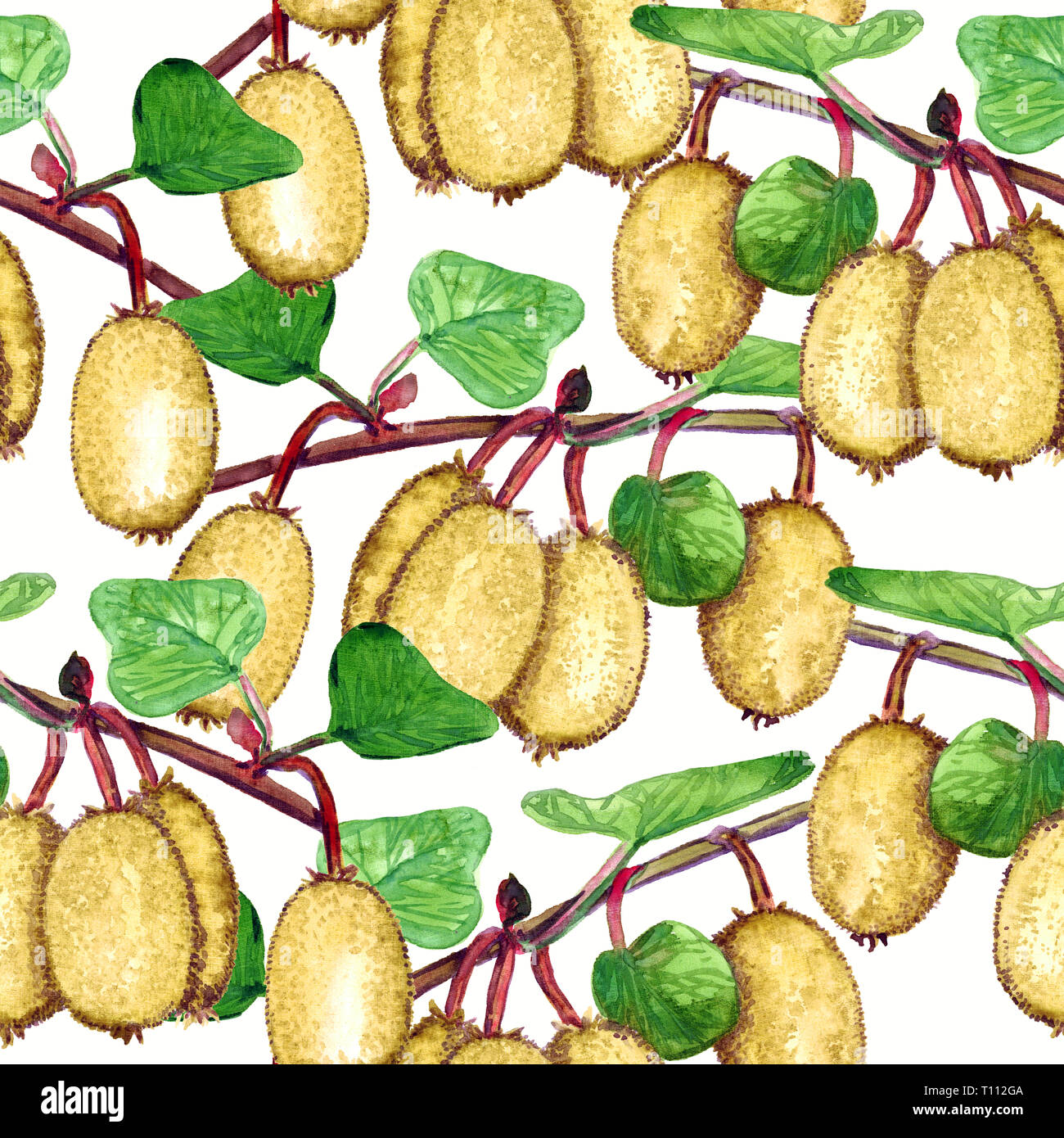 Kiwifruit branches with ripe fruits, natural colors palette, seamless ...