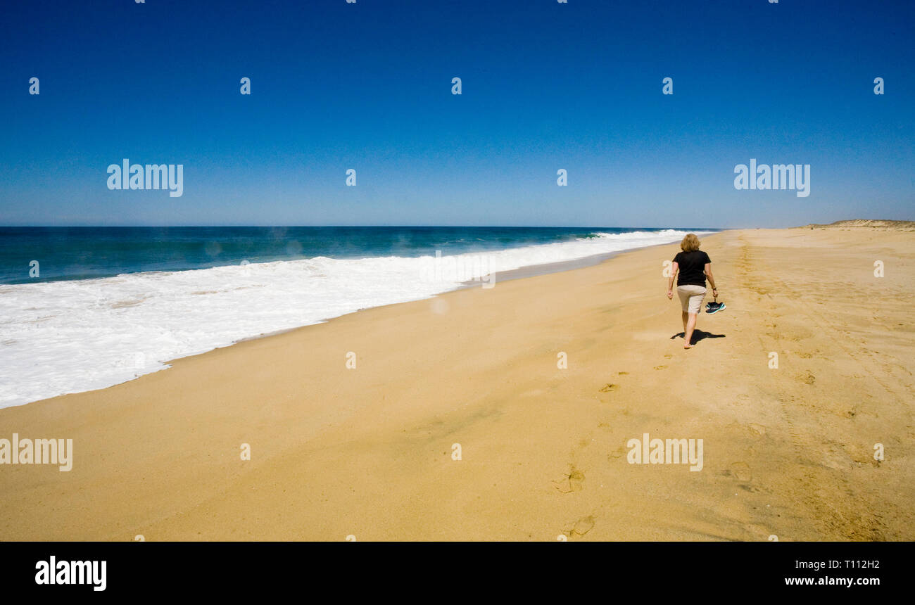 Beaches baja mexico hi-res stock photography and images - Alamy