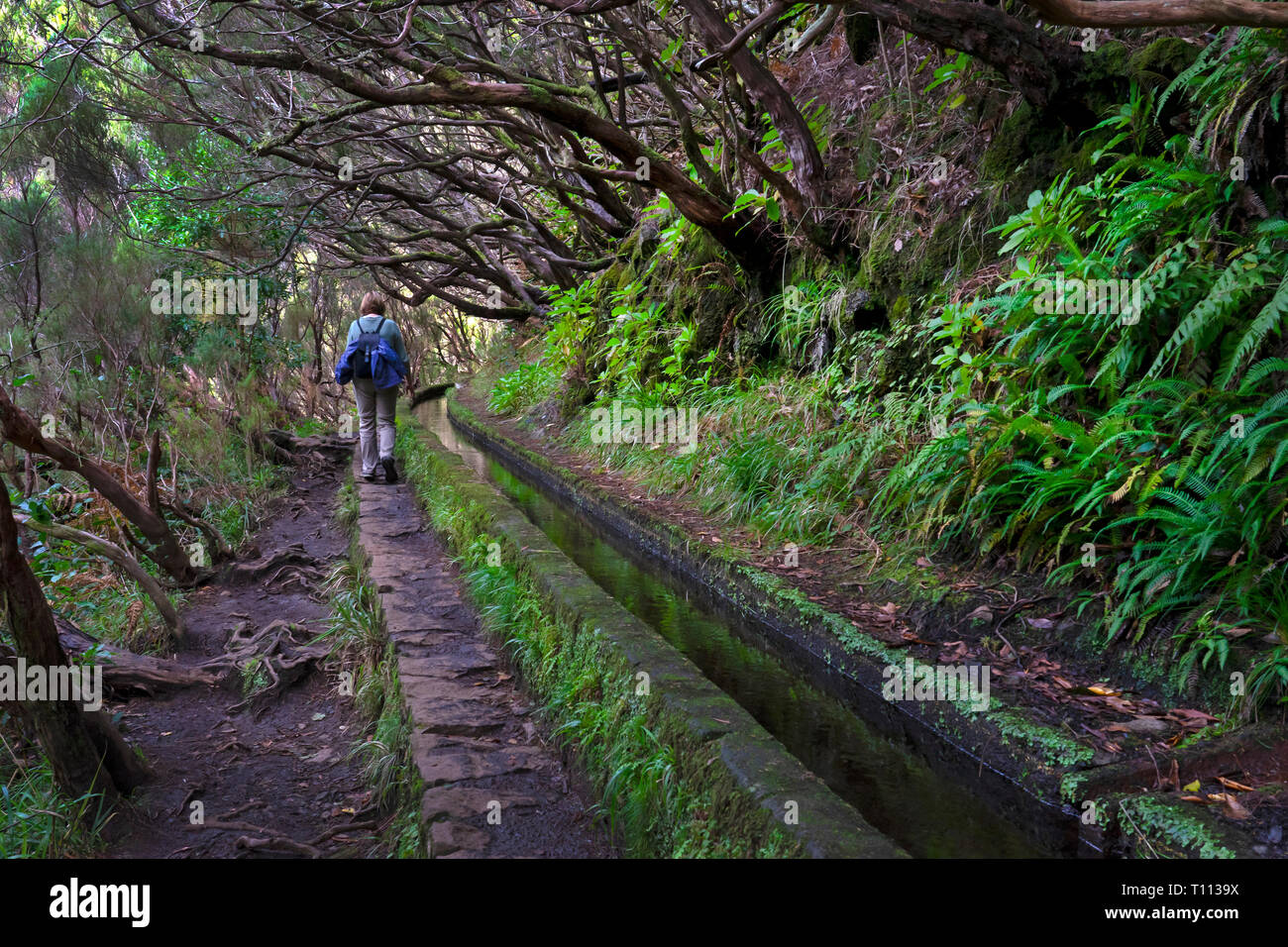 Levada hi-res stock photography and images - Alamy