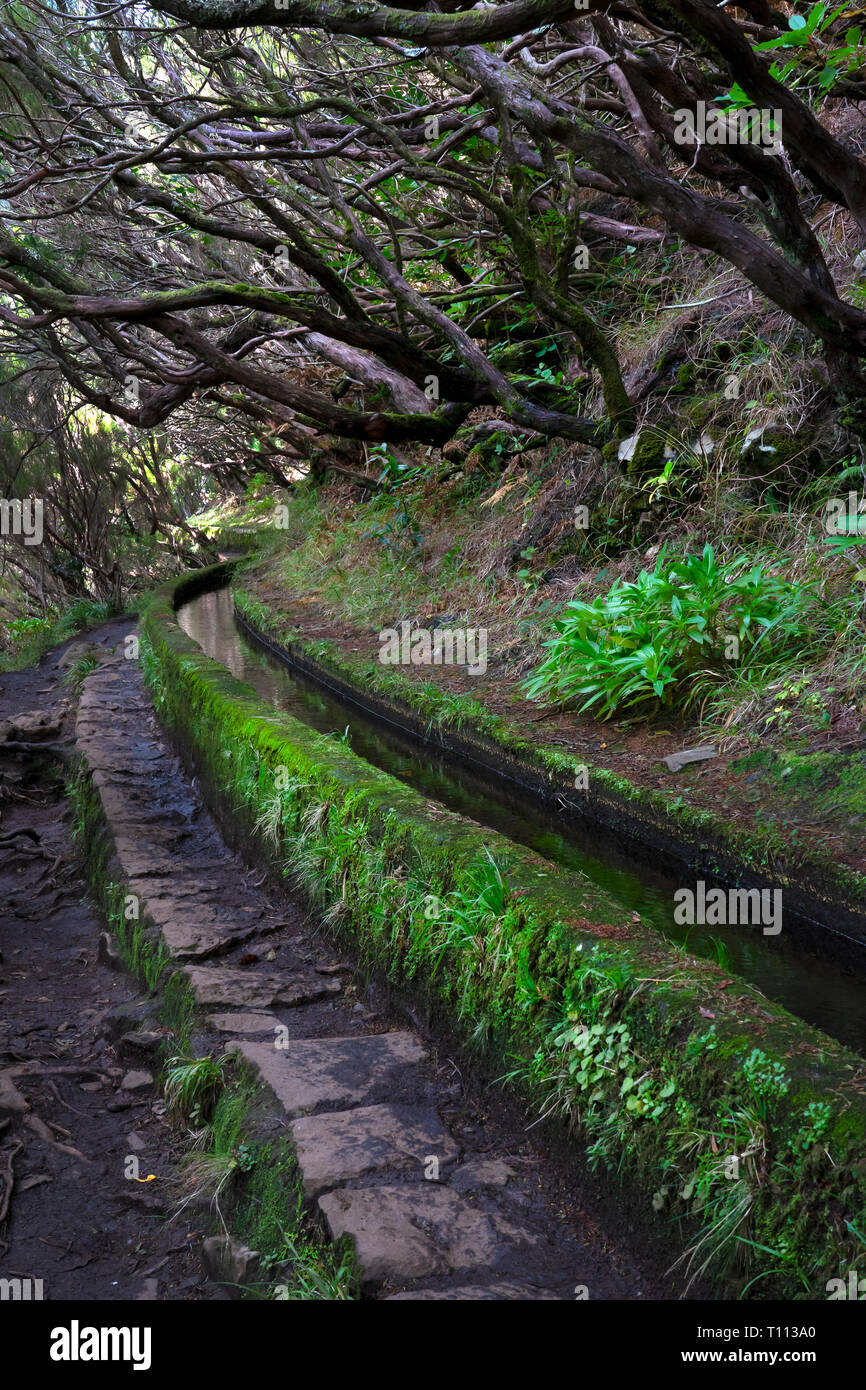 Levadas madeira hi-res stock photography and images - Alamy
