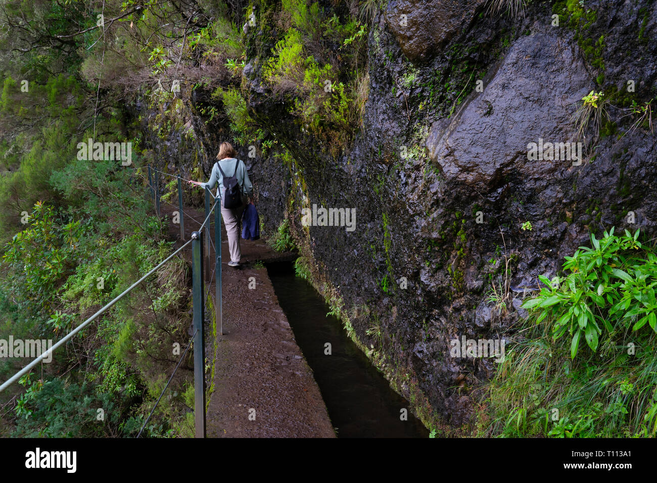 Levada water canal madeira island hi-res stock photography and images ...