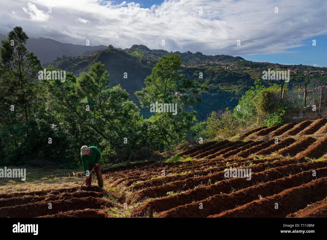 Terrace farming hi-res stock photography and images - Alamy