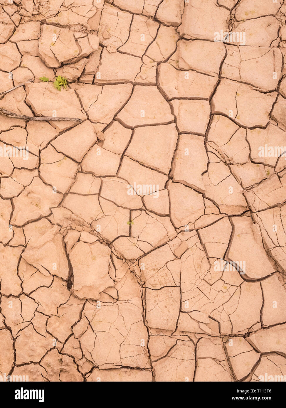 Dry floor in the desert of Atacama Stock Photo - Alamy