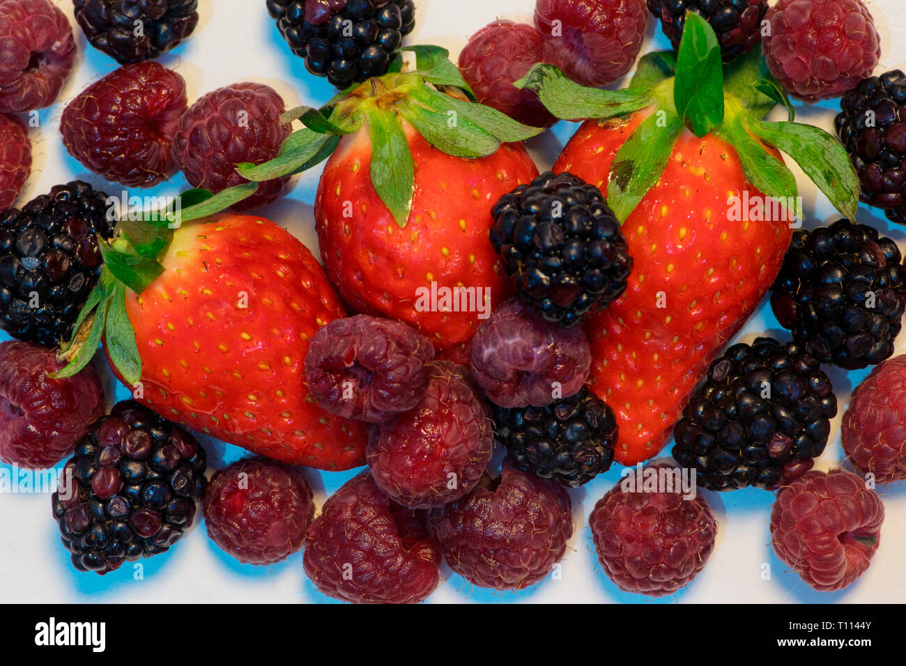 fruits of the forest with white background Stock Photo - Alamy