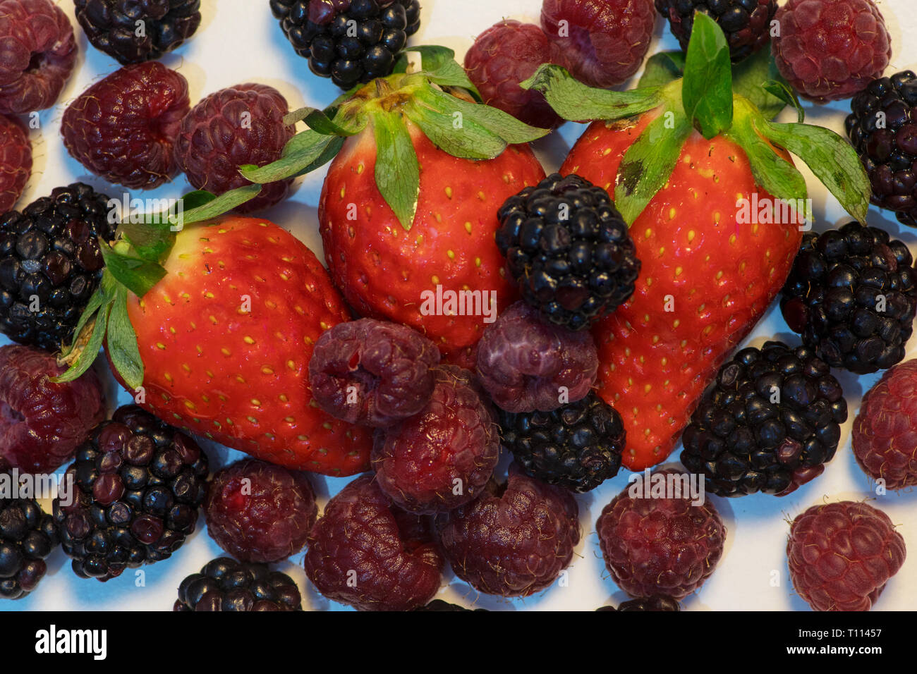 fruits of the forest with white background Stock Photo - Alamy