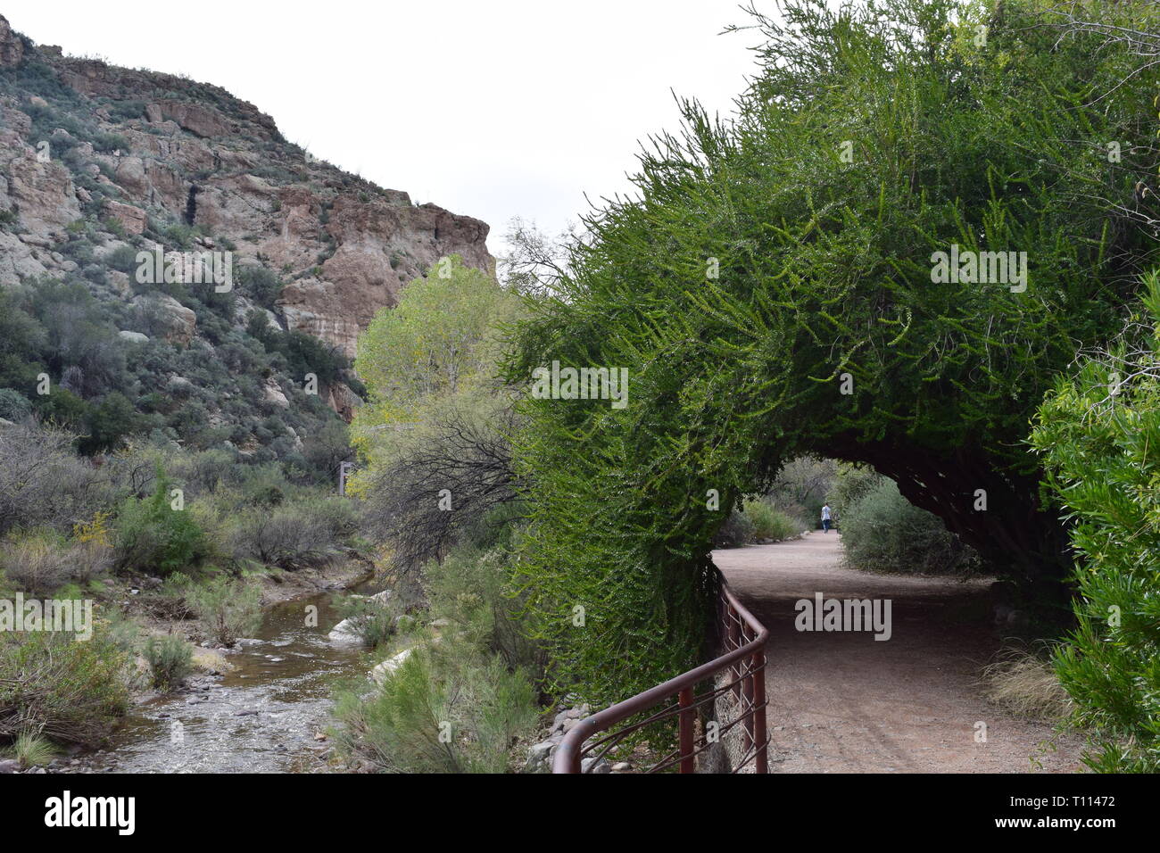 Canopy pathway hi-res stock photography and images - Alamy