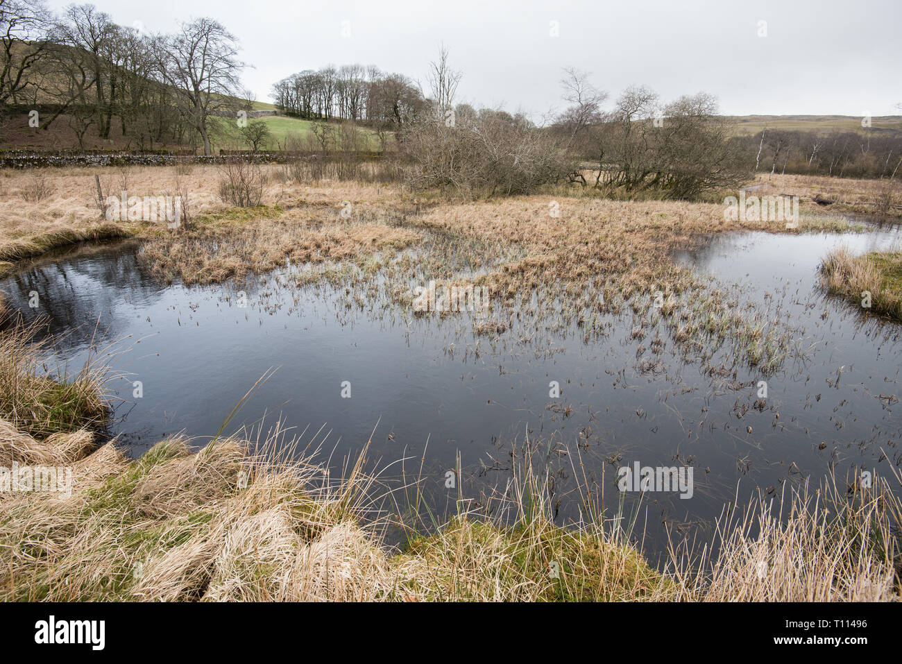 Fen bog yorkshire hi-res stock photography and images - Alamy
