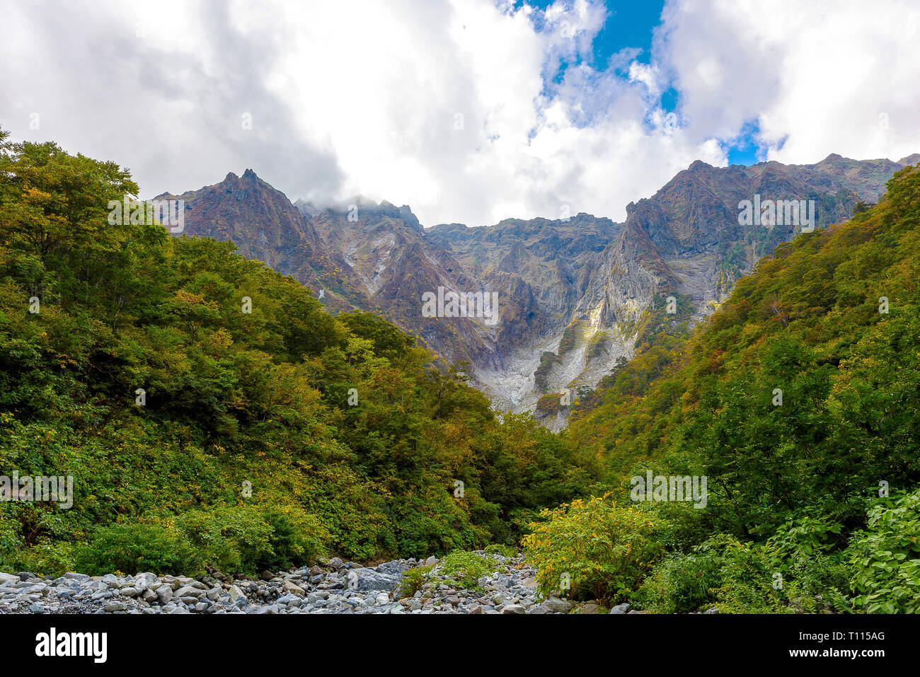 Early Autumn at Mt.Tanigawa in Japan Stock Photo - Alamy