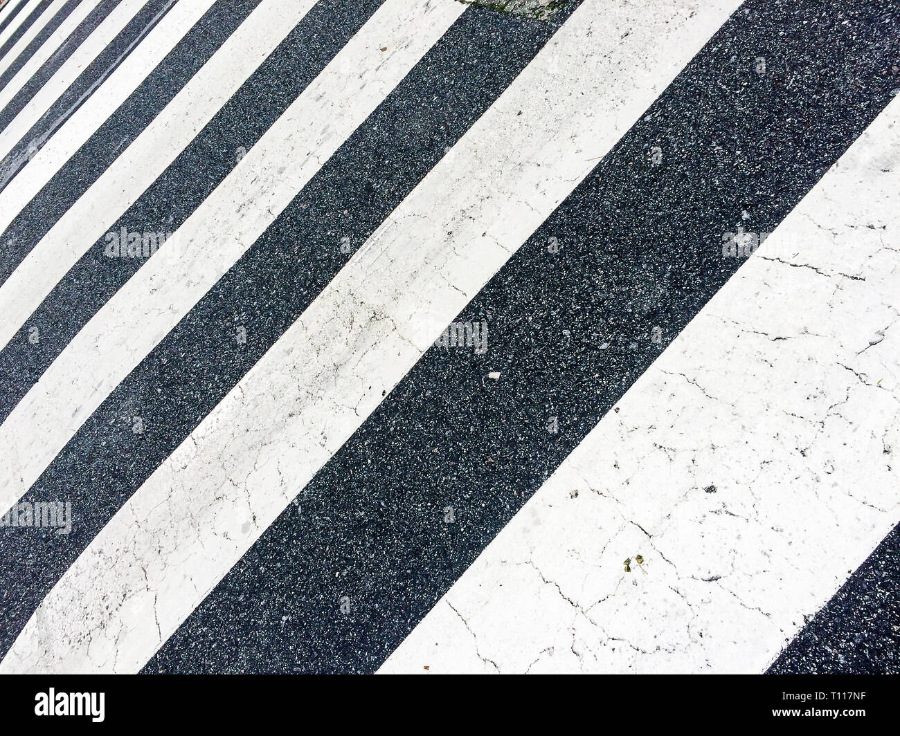Parallel black and white lines of crosswalk on the stereet Stock Photo ...