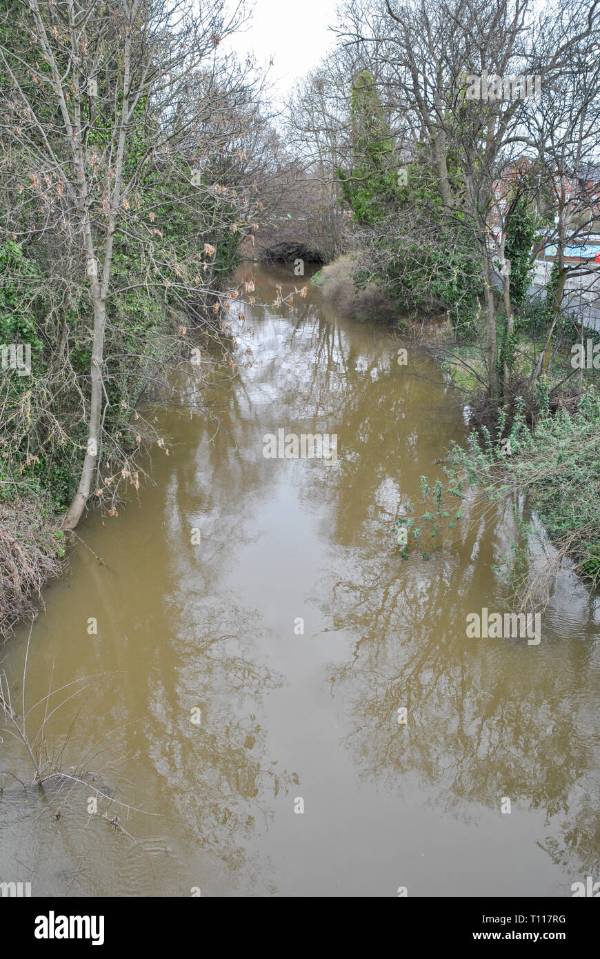 The Rea Brook in Shrewsbury, swollen by rain waters after a storm Stock ...