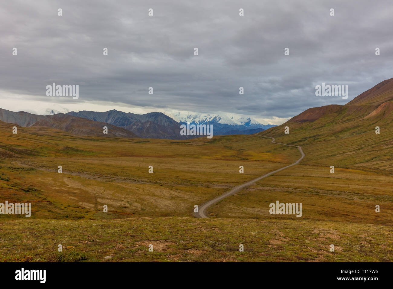 Denali National Park Alaska Autumn Landscape Stock Photo - Alamy