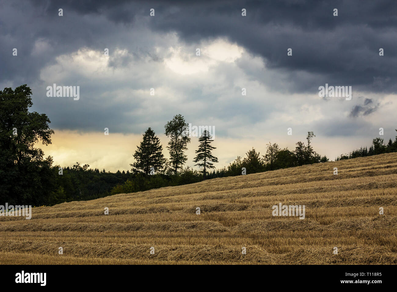 Dark clouds over field hi-res stock photography and images - Alamy