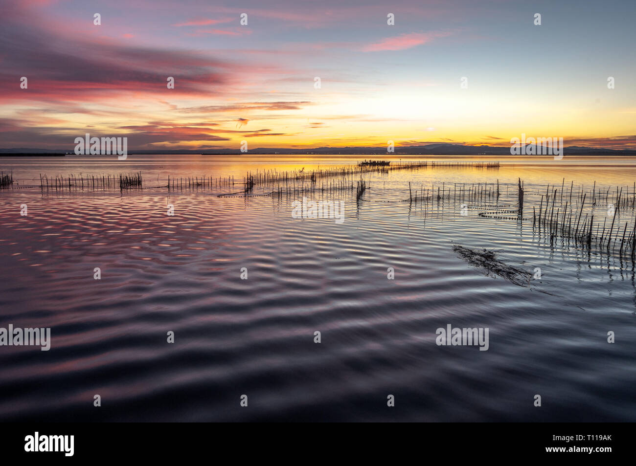 Albufera lagoon hi-res stock photography and images - Alamy