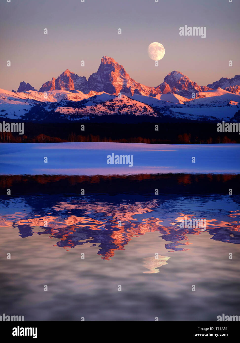 Full moon dusk pine hi-res stock photography and images - Alamy