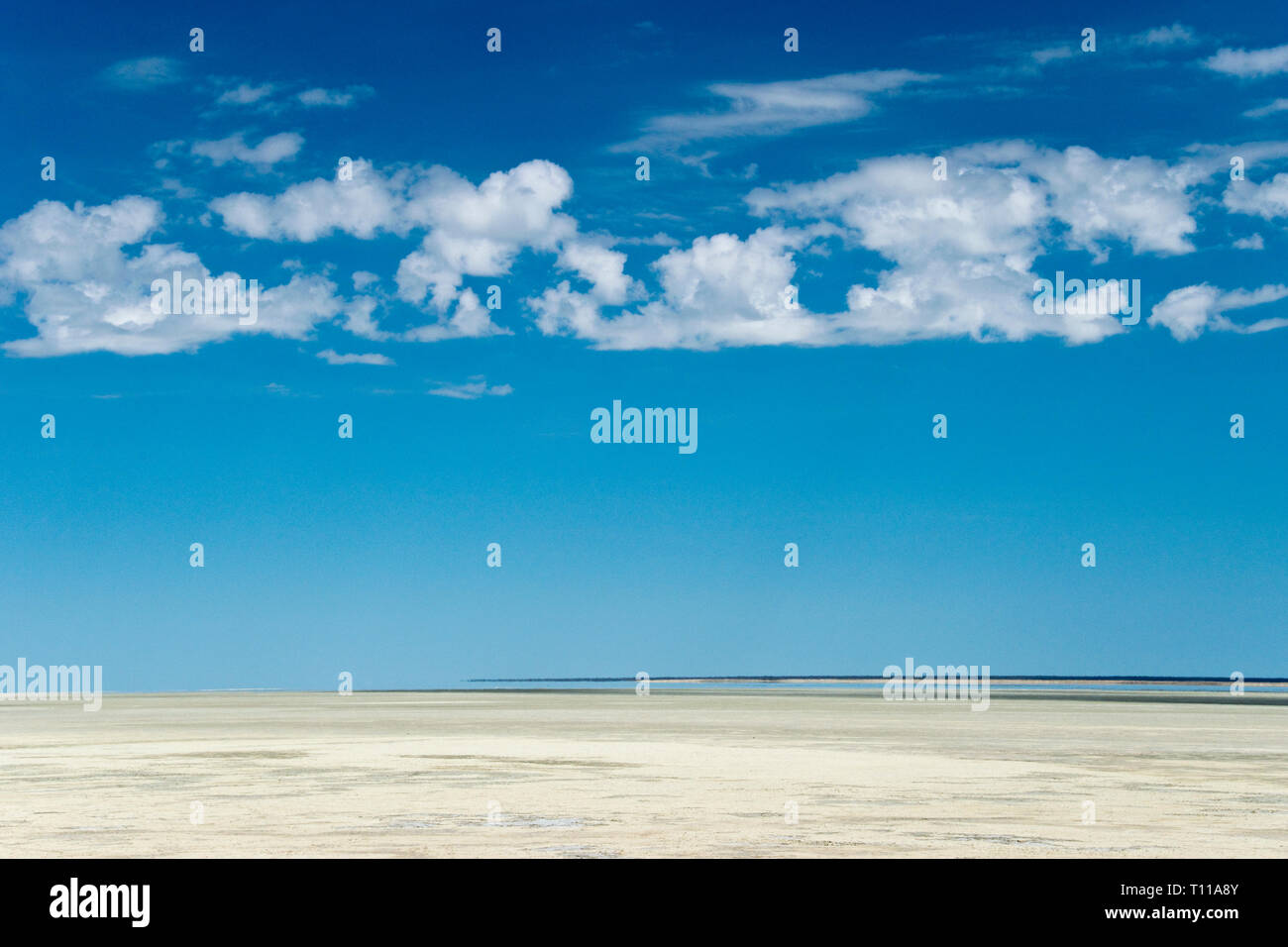 The vast salt pan in Etosha National Park, Namibia Stock Photo - Alamy