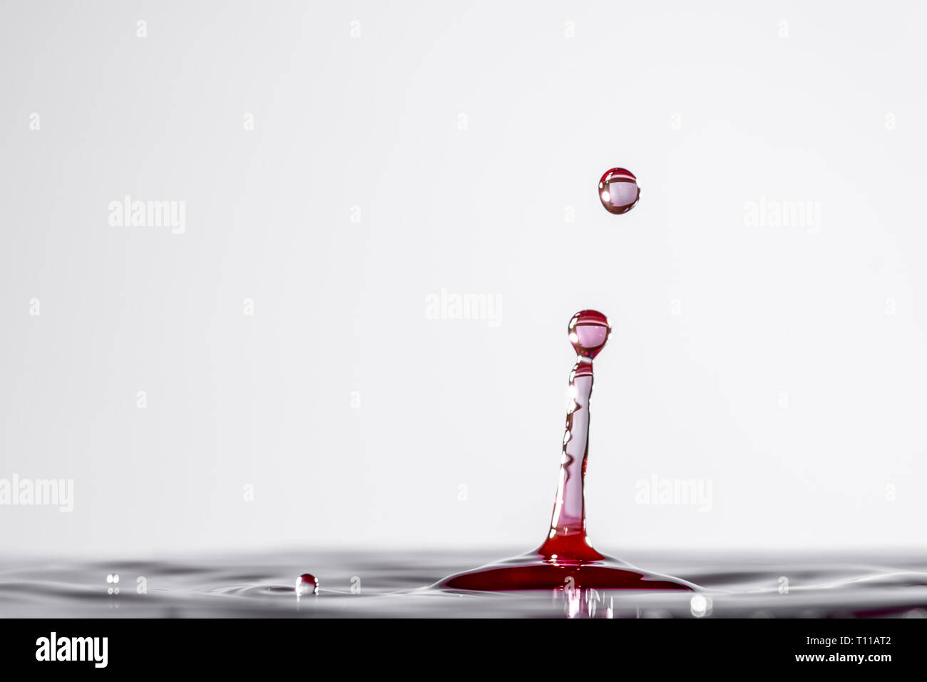 Vibrant red water droplets and ripples isolated on a clean background ...