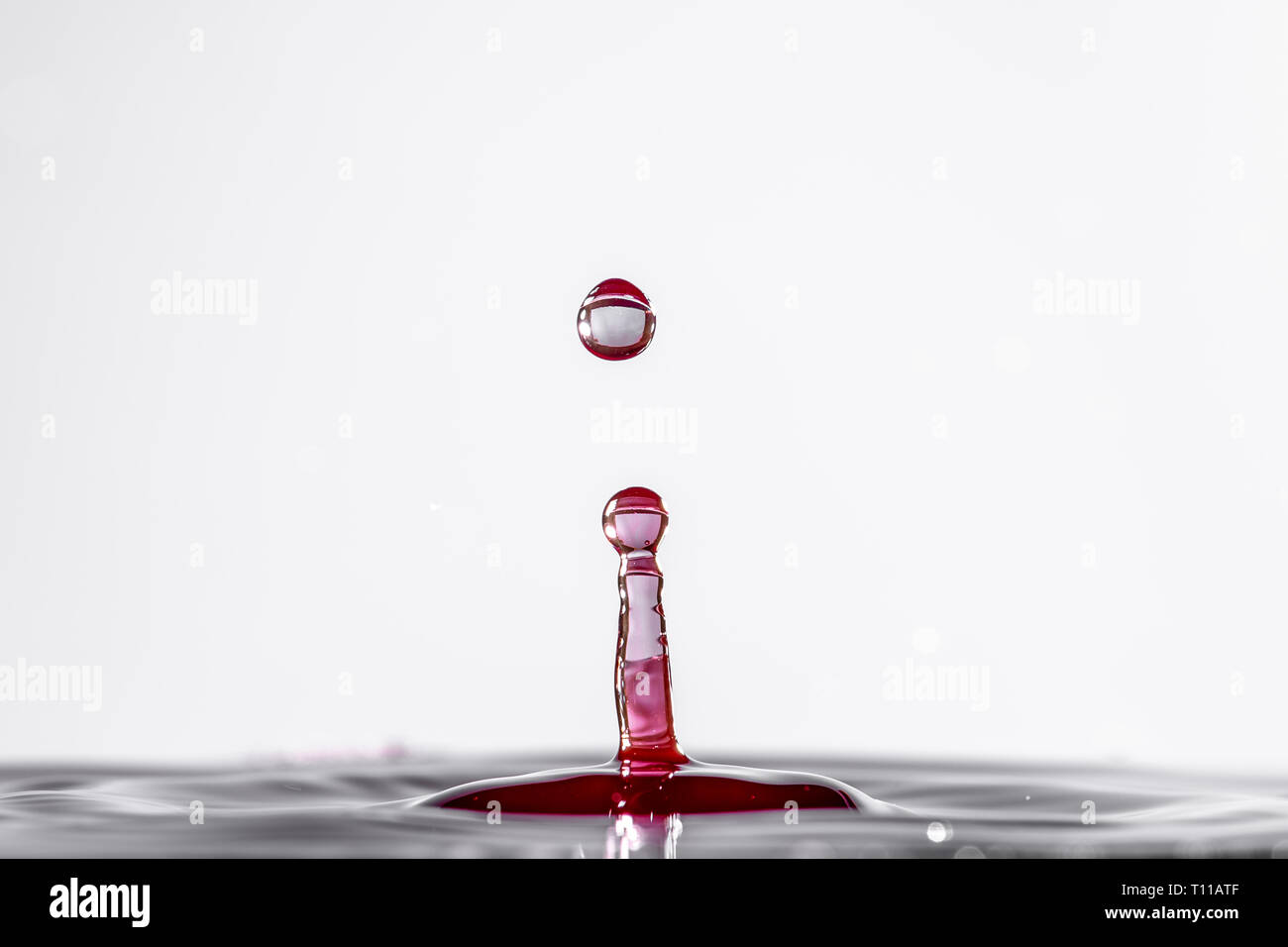 Vibrant red water droplets and ripples isolated on a clean background ...