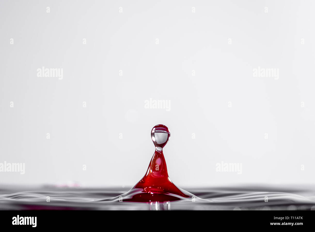 Vibrant red water droplets and ripples isolated on a clean background ...