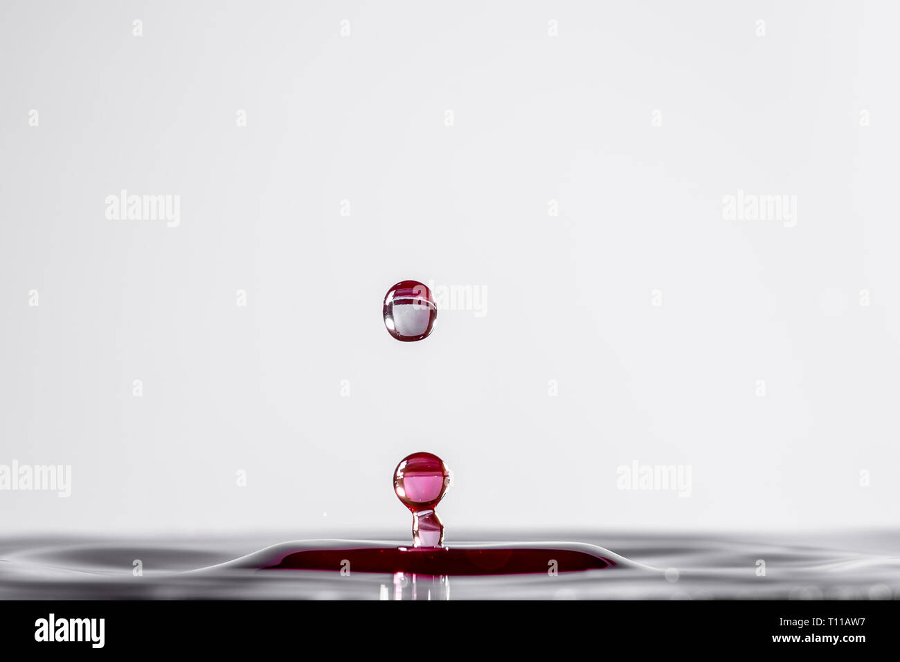 Vibrant red water droplets and ripples isolated on a clean background ...