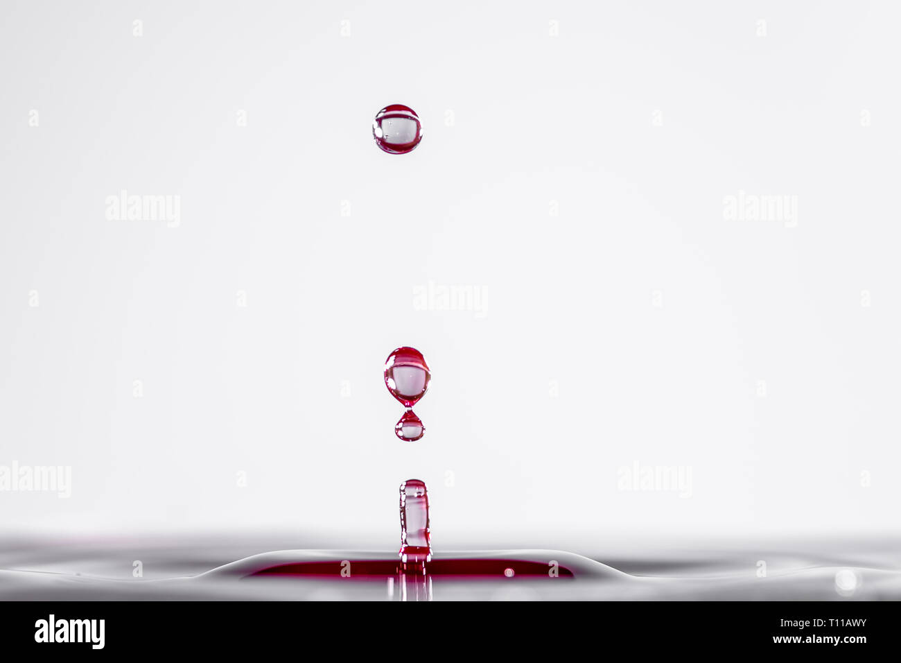 Vibrant red water droplets and ripples isolated on a clean background ...
