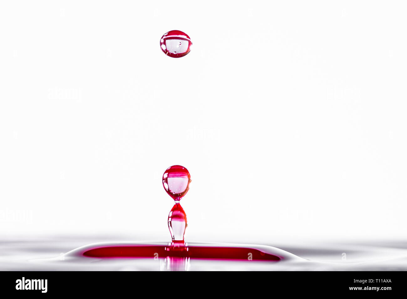 Vibrant red water droplets and ripples isolated on a clean background ...