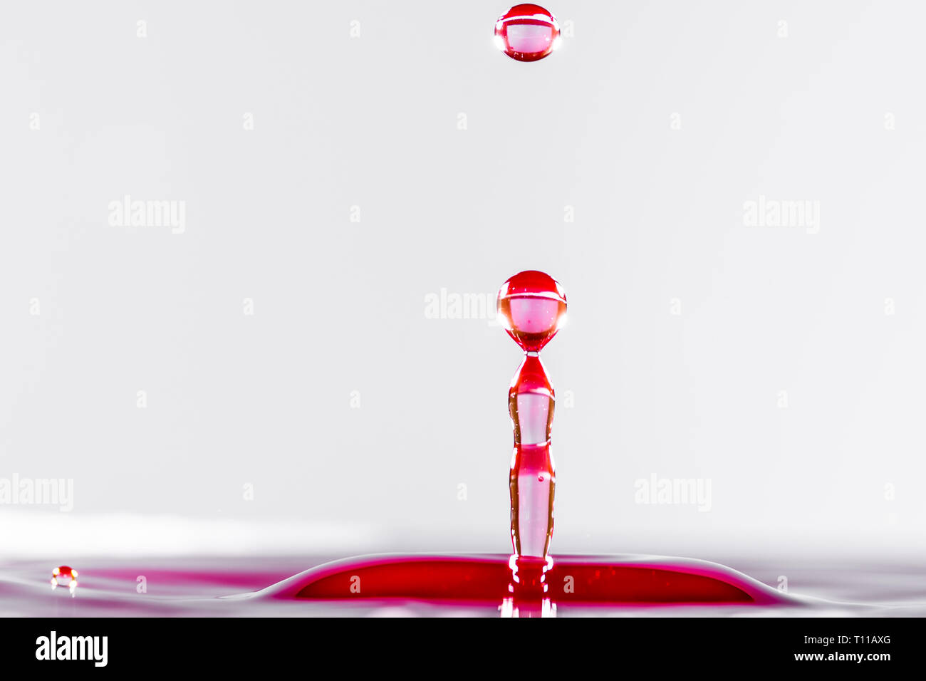 Vibrant red water droplets and ripples isolated on a clean background ...