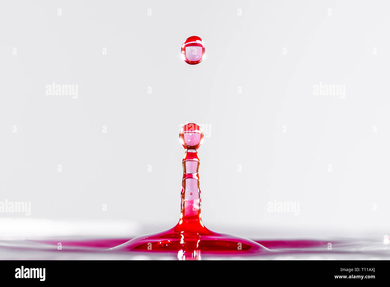 Vibrant red water droplets and ripples isolated on a clean background ...