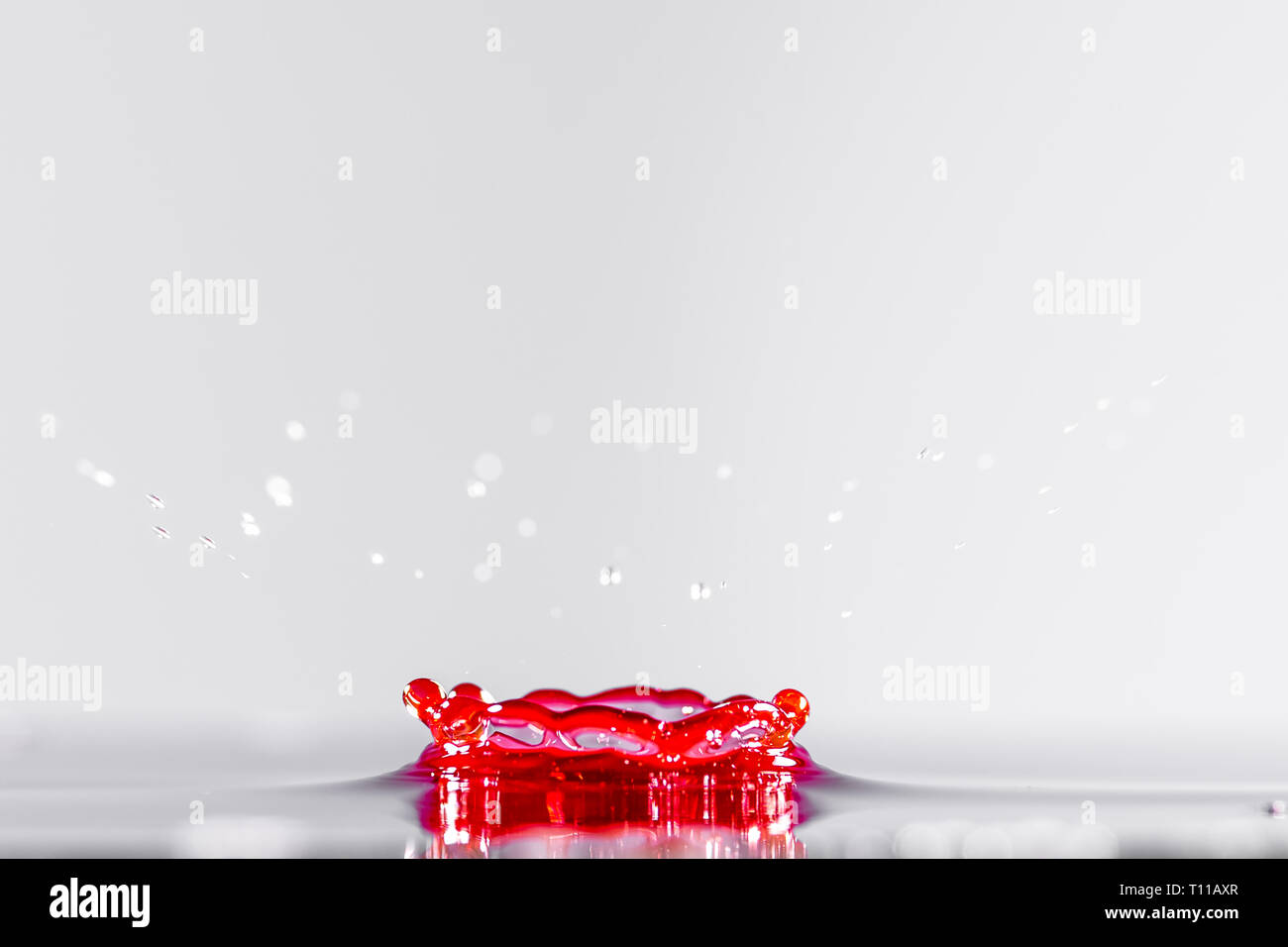 Vibrant red water droplets and ripples isolated on a clean background ...