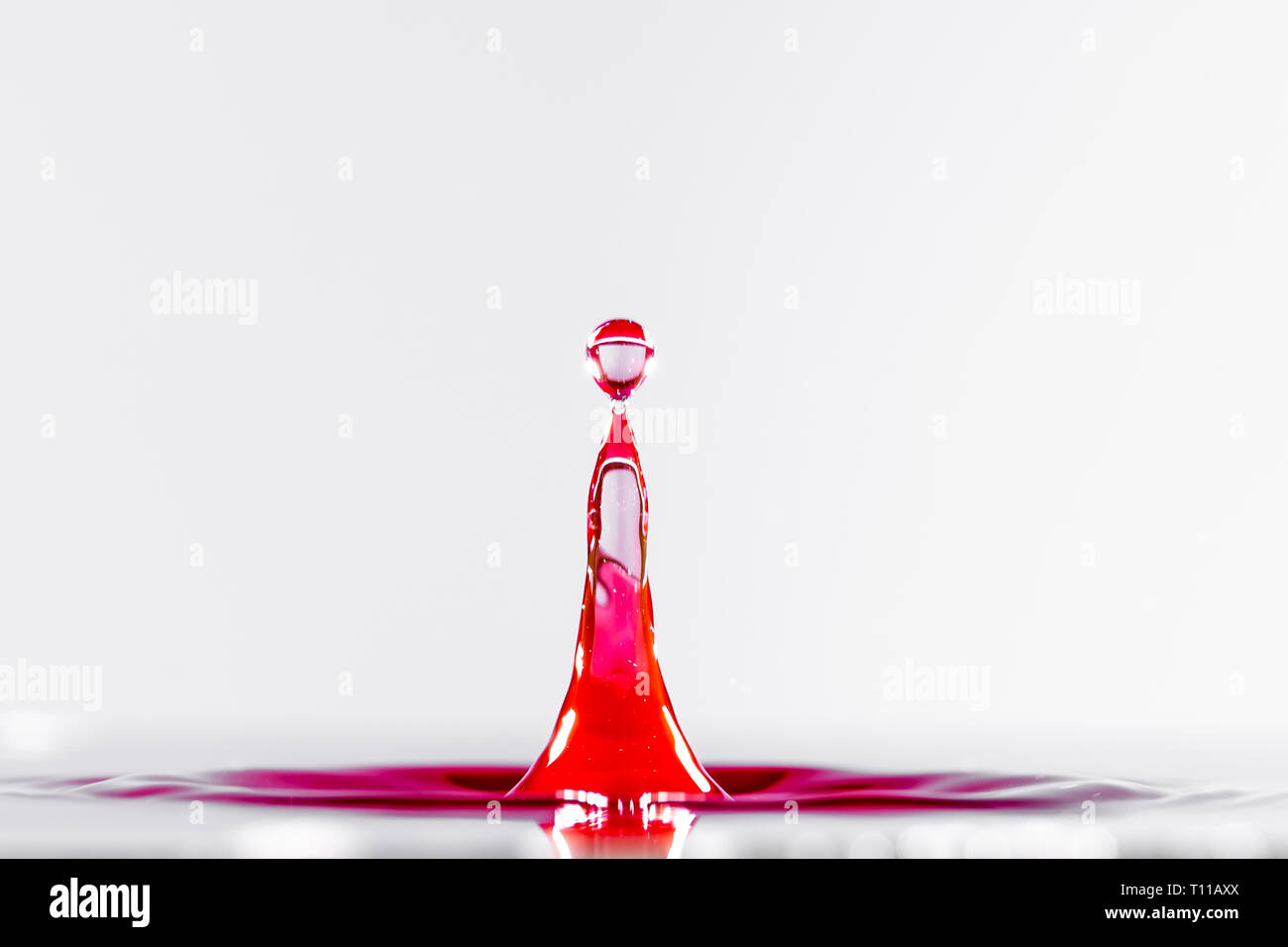 Vibrant red water droplets and ripples isolated on a clean background ...