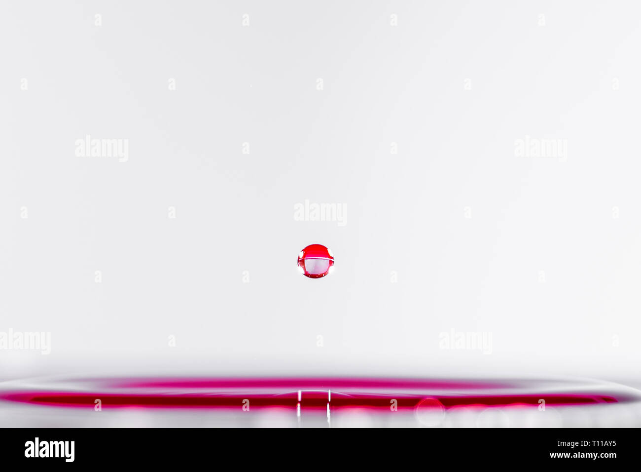 Vibrant red water droplets and ripples isolated on a clean background ...