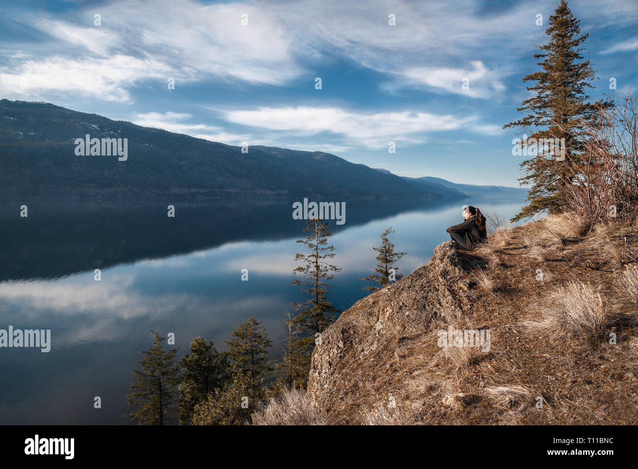 Okanagan wild flowers hi-res stock photography and images - Alamy