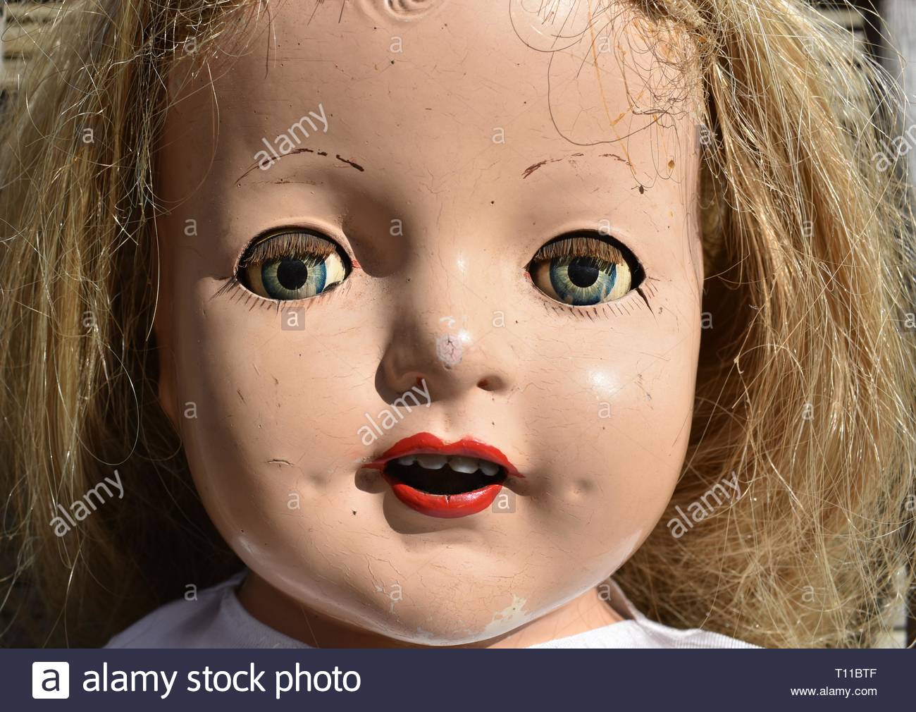 Staring Eyes Stock Photos & Staring Eyes Stock Images - Alamy