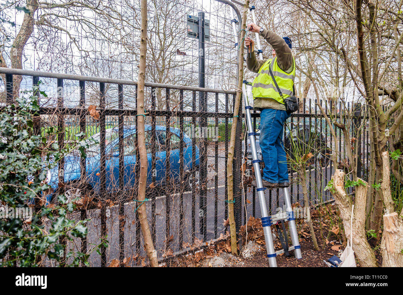 Miers Close Preserve, Newham Conservation Volunteers and local scouts ...