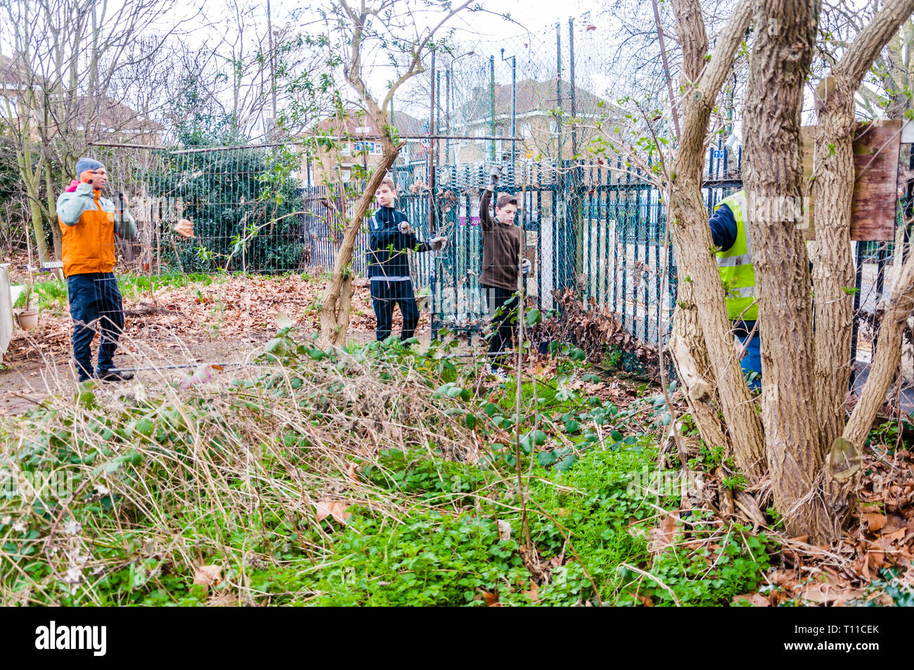 Miers Close Preserve, Newham Conservation Volunteers and local scouts ...