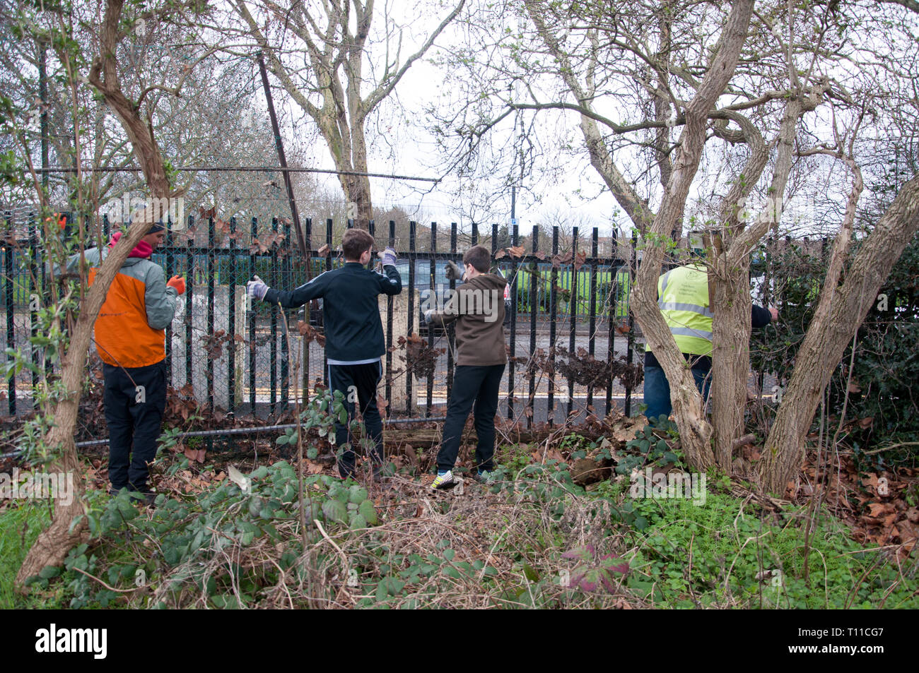 Miers Close Preserve, Newham Conservation Volunteers and local scouts ...