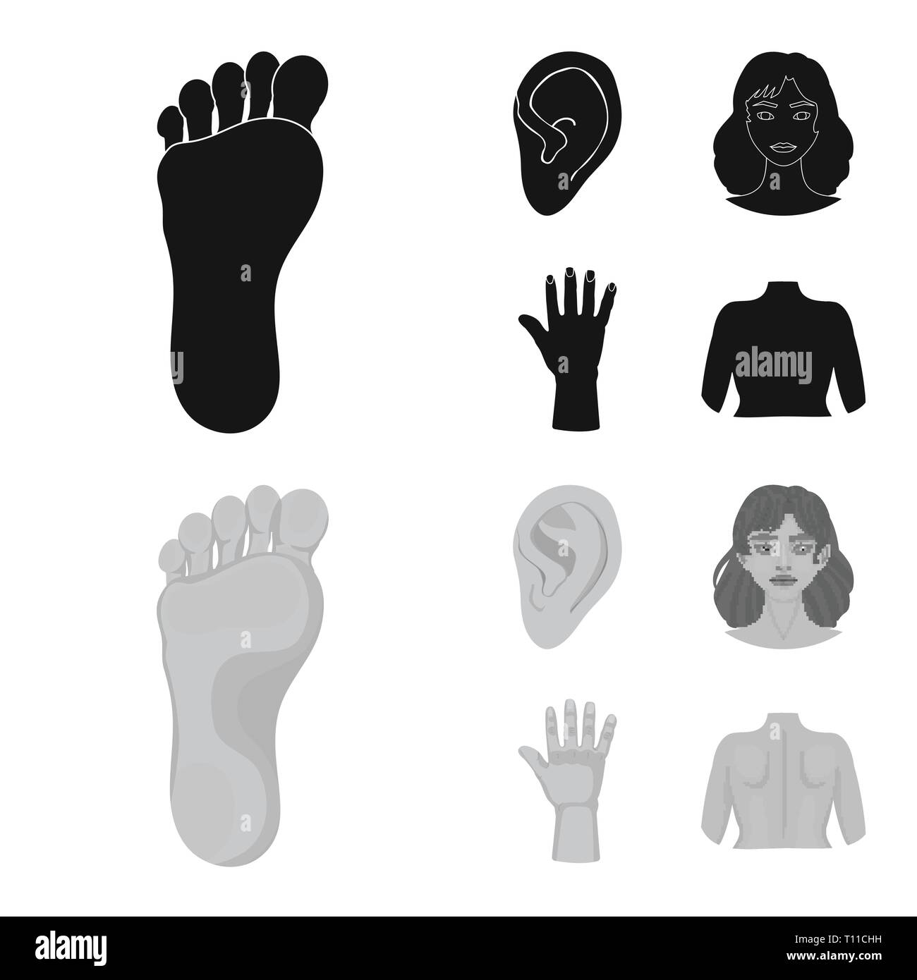 Vector design of body and part logo. Set of body and anatomy stock ...