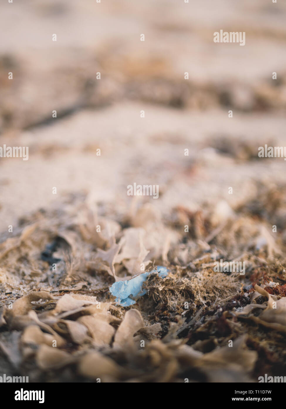 Plastic rubbish/litter/pollution on the beach/sand in the winter in the ...
