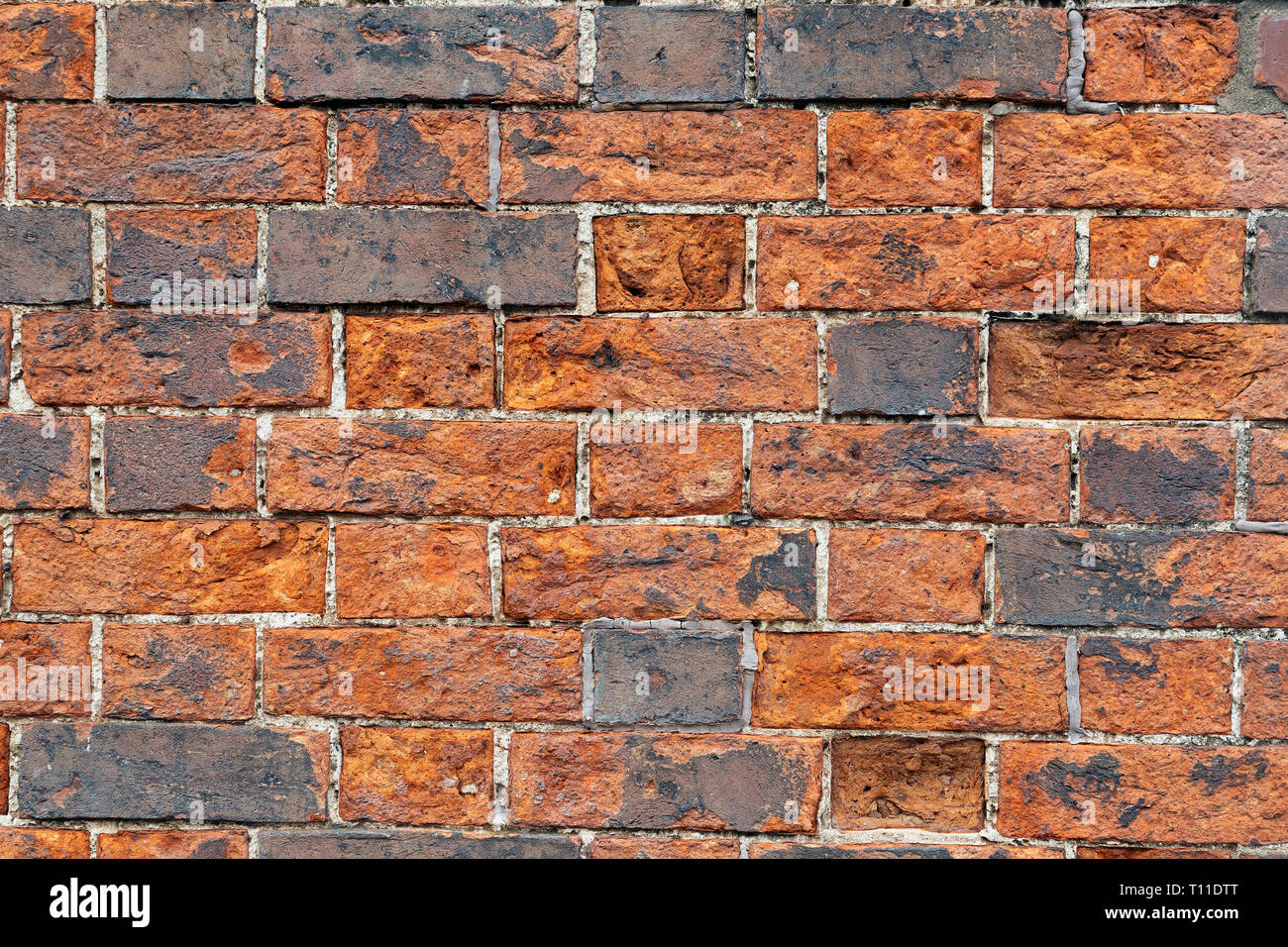 Pitted stone texture hi-res stock photography and images - Alamy