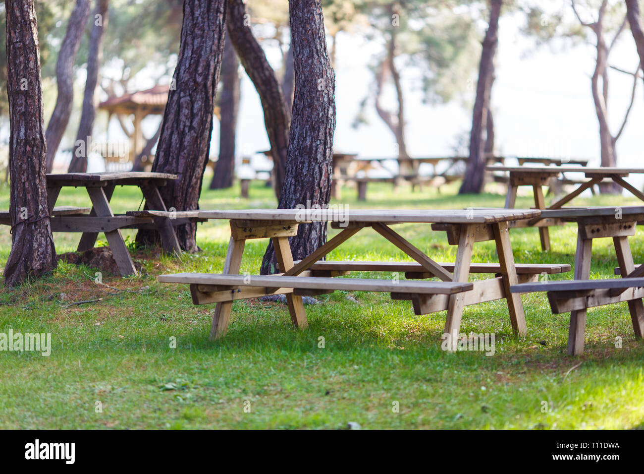 Photo of green park with trees, wooden benches, table Stock Photo - Alamy